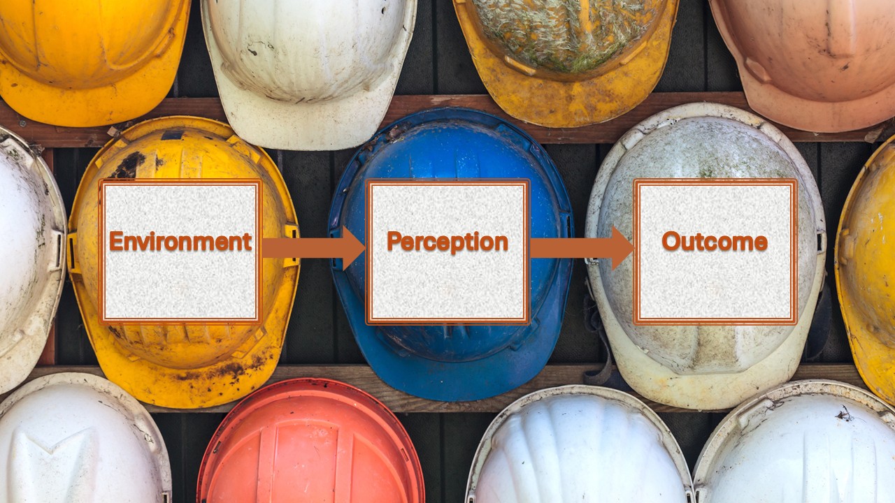 The Environment Perception Outcome Paradigm in Organizational Research ...